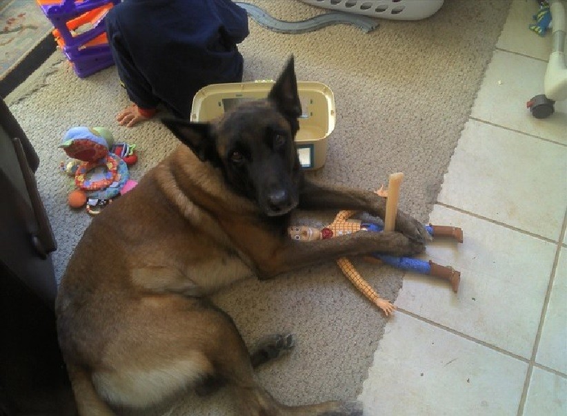 O Porsche de Janis Joplin, comprado e modificado pela artista em 1968 ...